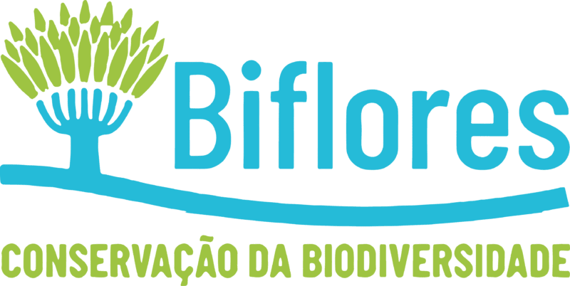 Our Team – Biflores